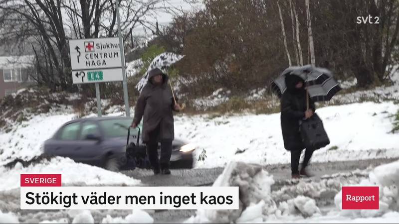 Rapport – Avsnitt 308 | SVT Play