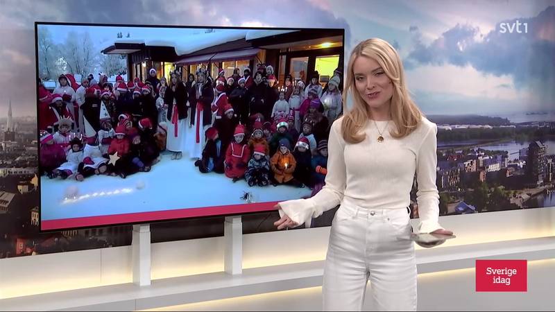 Sverige idag – Avsnitt 83 | SVT Play