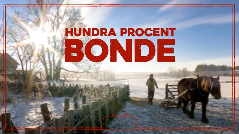 Hundra procent bonde – 1. Julspecial | SVT Play