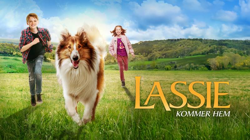 Lassie kommer hem | SVT Play
