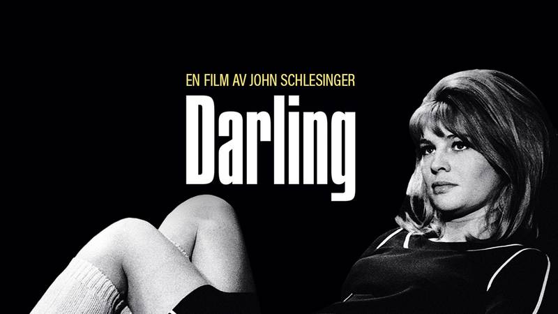 Darling | SVT Play