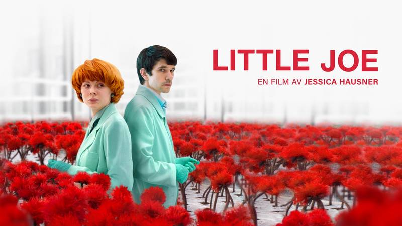 Little Joe | SVT Play