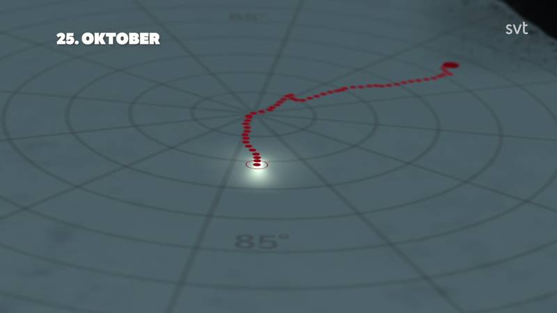 Exit Nordpolen – 2. Expeditionen | SVT Play