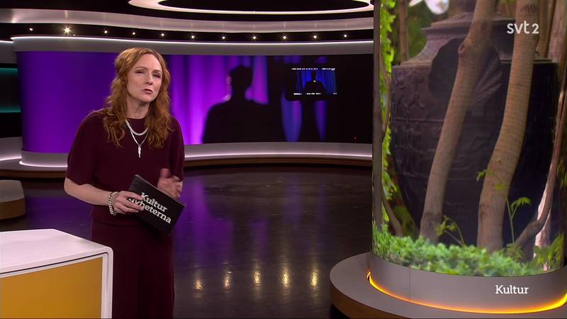 Aktuellt – Avsnitt 6 | SVT Play