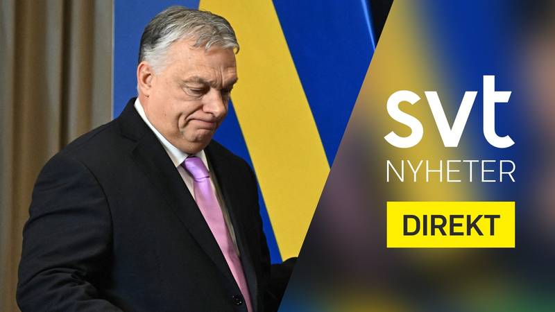 SVT Nyheter Direkt – I dag röstar Ungern om Sveriges Natointräde | SVT Play