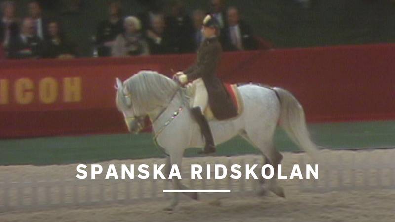 Spanska Ridskolan | SVT Play