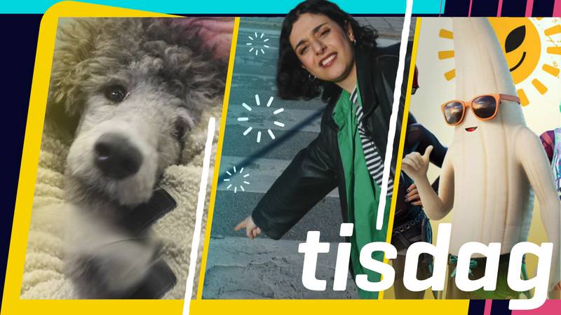 Lilla Aktuellt & Lilla Aktuellt skola – Avsnitt 45 | SVT Play