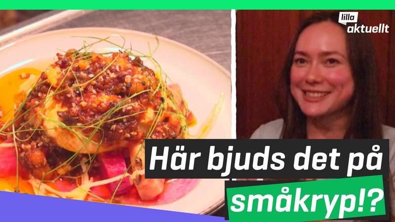 Lilla Aktuellt & Lilla Aktuellt skola – Insekter som mat | SVT Play