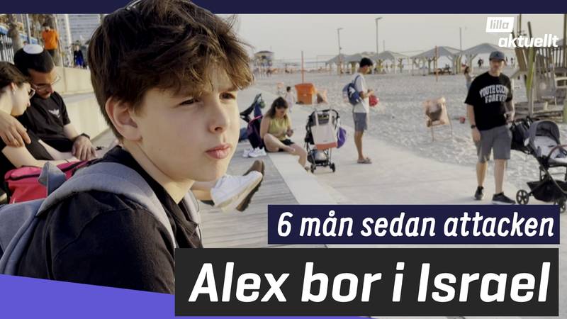 Lilla Aktuellt & Lilla Aktuellt skola – Alex bor i Israel | SVT Play
