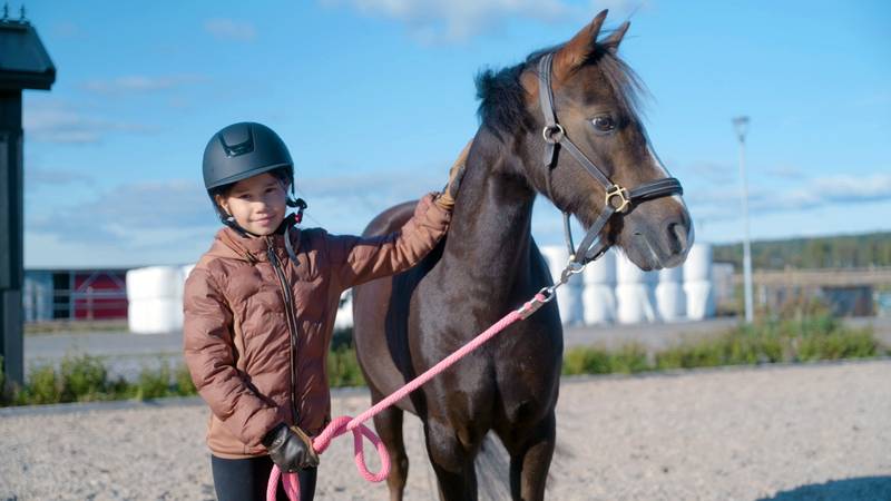 Lilla ridskolan – 1. Välkomna till Lilla ridskolan! | SVT Play