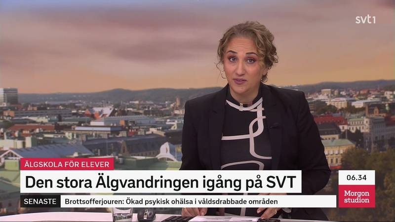 Rapport – Avsnitt 80 | SVT Play