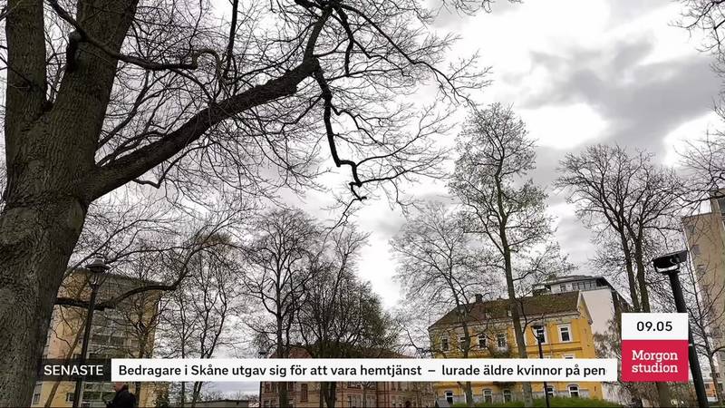 Rapport – Avsnitt 80 | SVT Play