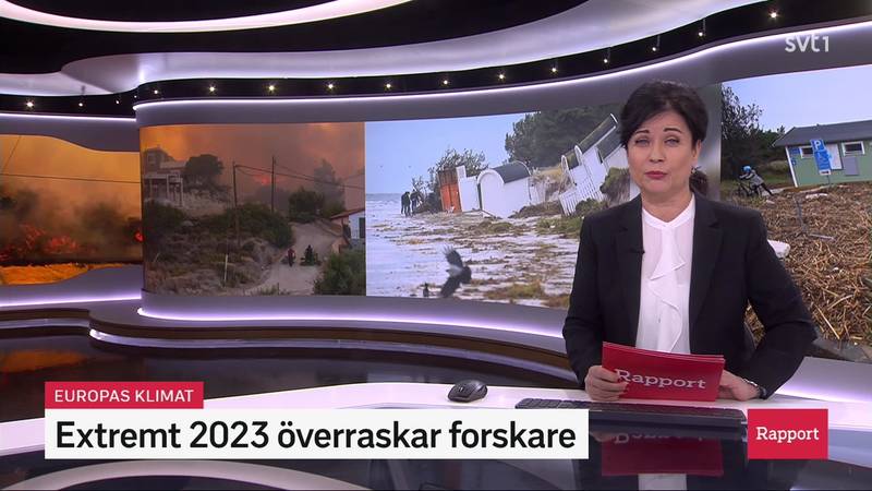 Rapport – Avsnitt 80 | SVT Play