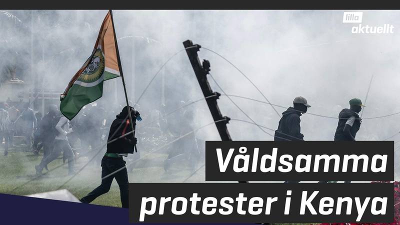 Lilla Aktuellt & Lilla Aktuellt skola – Stormade parlamentet | SVT Play