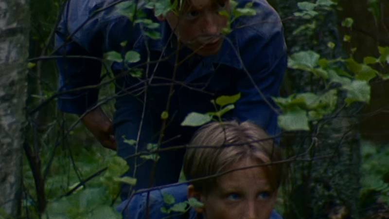 Pip-Larssons – Avsnitt 8 | SVT Play