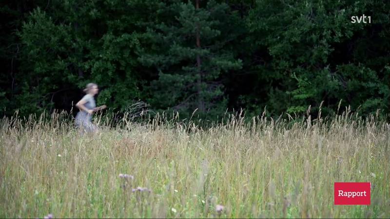 Rapport – Avsnitt 180 | SVT Play