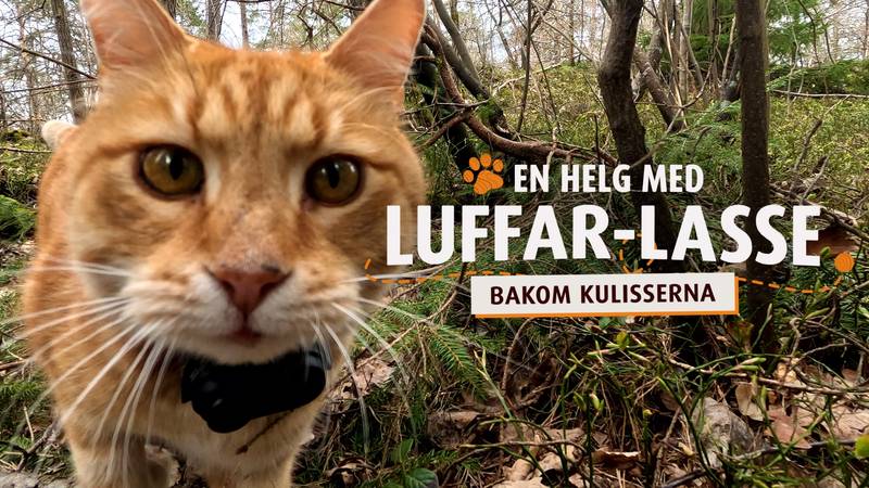 En helg med Luffar-Lasse – En helg med Luffar-Lasse: Bakom kulisserna ...