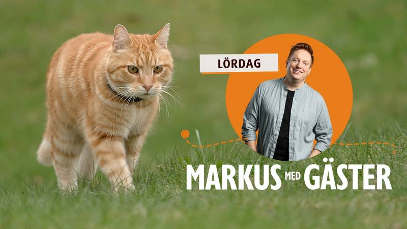 En helg med Luffar-Lasse – En helg med Luffar-Lasse | SVT Play