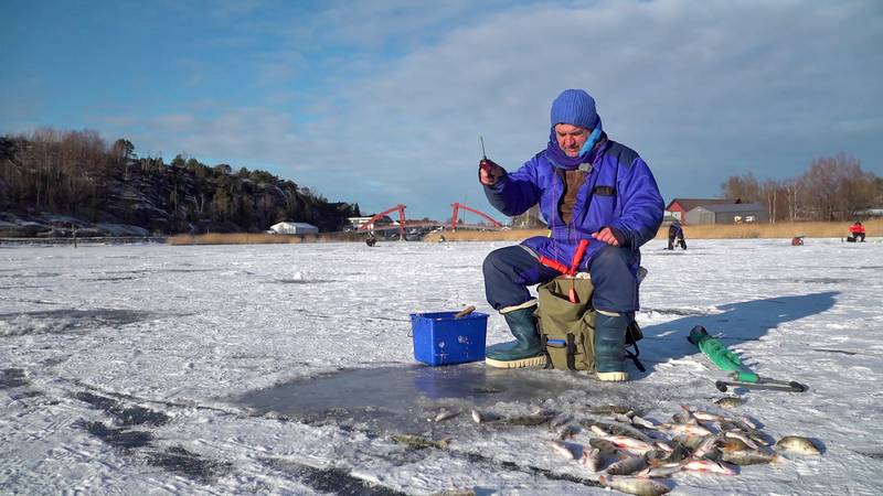 Norge runt – Fiskaren | SVT Play