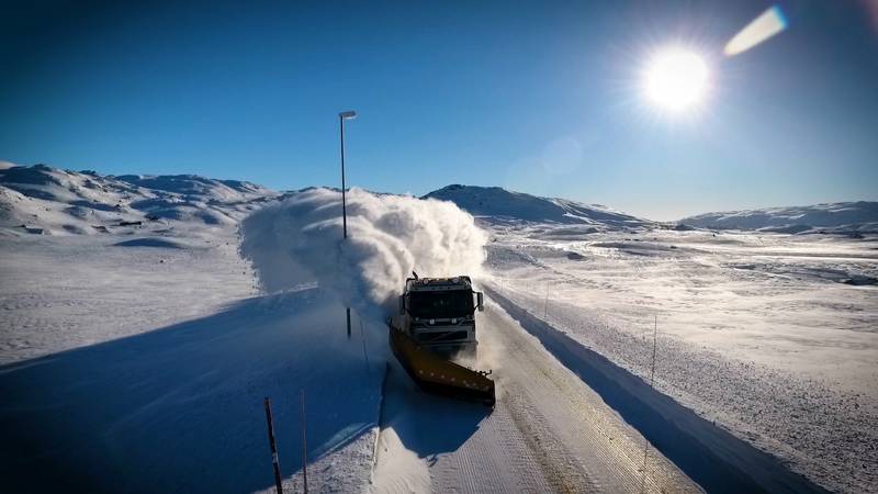 Vita vidder – Avsnitt 1 | SVT Play