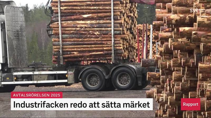 Rapport – Avsnitt 308 | SVT Play