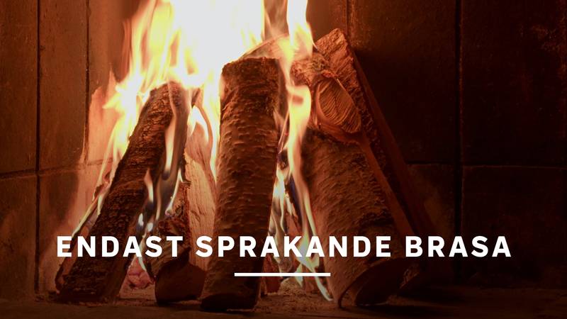 Brasa – Endast sprakande brasa | SVT Play