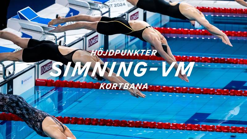 Simning: Höjdpunkter – Simning-VM kortbana från Budapest: 100m ...
