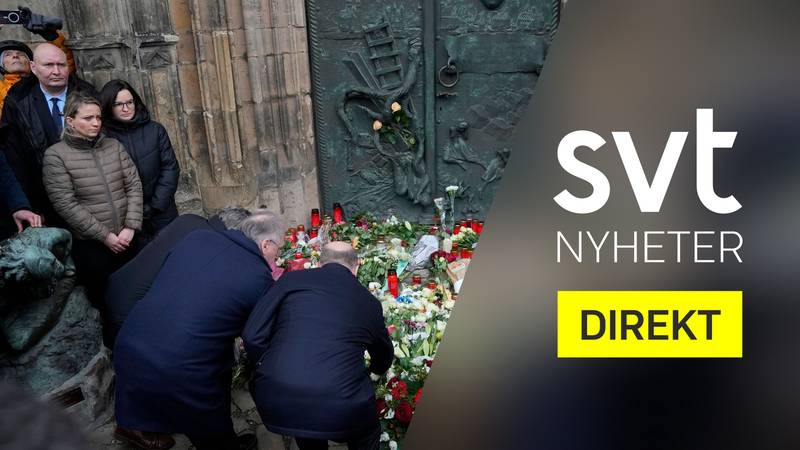 SVT Nyheter Direkt – Fem döda efter attack mot julmarknad i Tyskland ...