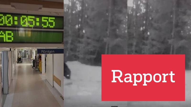 Rapport – Avsnitt 1 | SVT Play