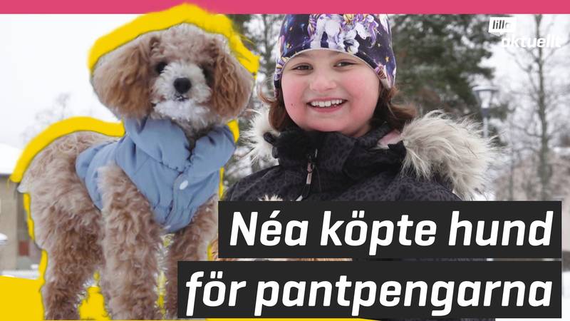 Lilla Aktuellt & Lilla Aktuellt skola – Panten räckte till hund | SVT Play