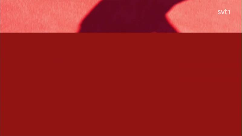 Kulturnyheterna – Avsnitt 38 | SVT Play