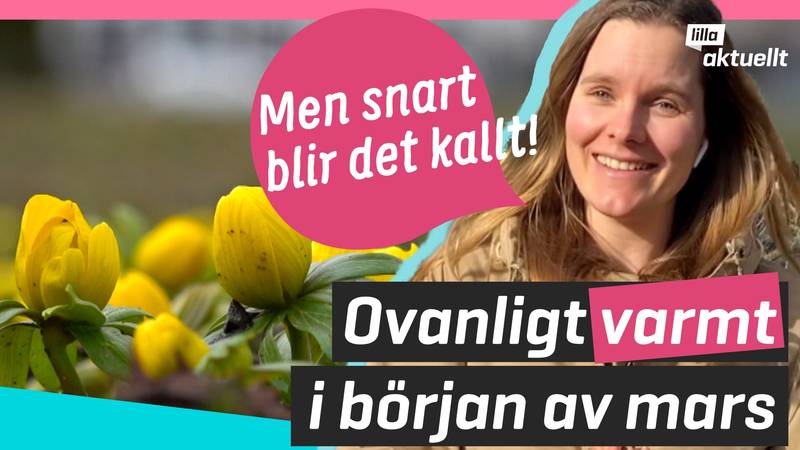 Lilla Aktuellt & Lilla Aktuellt skola – Ovanligt varmt! | SVT Play