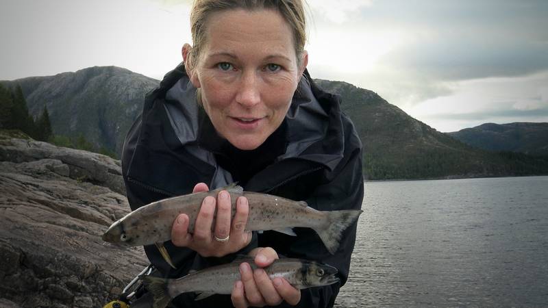 Alone Danmark – 2. Ett svårt beslut | SVT Play