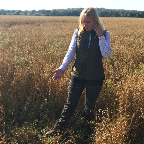 Skador från vildsvin har dubblerats i Småland – här samlar Mikaela ...