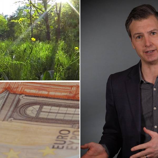 Wendick förklarar funktionen av EU-taxonomi | SVT Nyheter