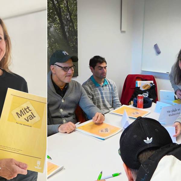 De ska öka valdeltagandet bland intellektuellt funktionsnedsatta | SVT ...