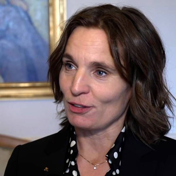 Carl-Oskar Bohlin (M) blir minister för civilt försvar | SVT Nyheter