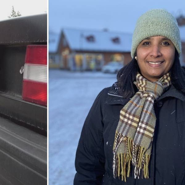 Tidaholms ovanliga drag: Anlitar ”EPA-spanare” | SVT Nyheter