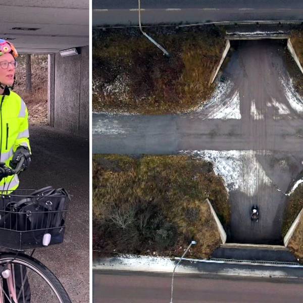 Fansen från Västerås i Paris: ”Fantastisk stämning” | SVT Nyheter