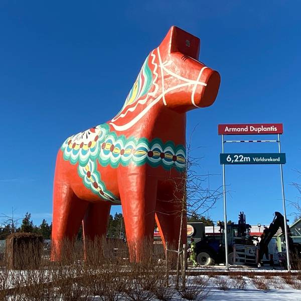 Avesta mot högre höjder – Duplantisribban upp igen | SVT Nyheter