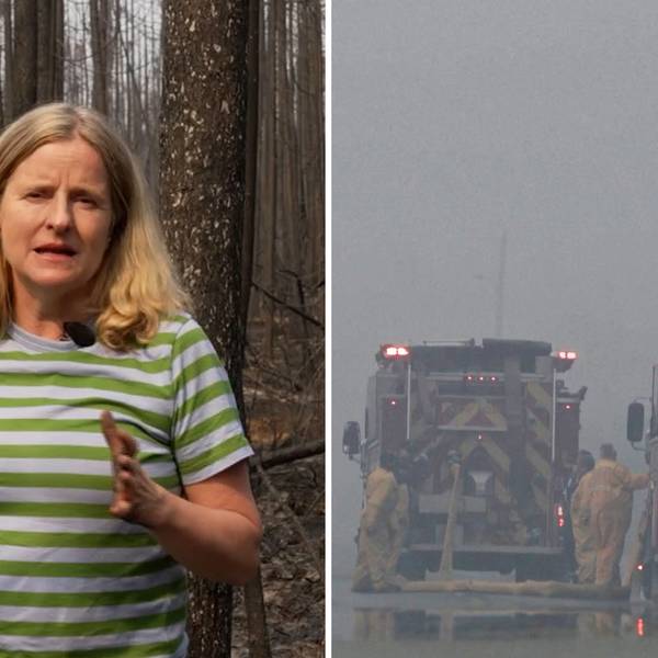 Föroreningar sprids från Kanadas skogsbränder: ”Kan pågå i månader ...