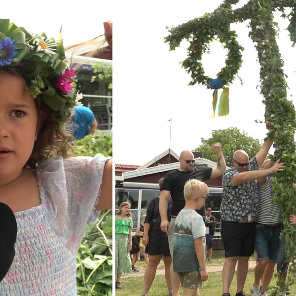 Här reser campinggästerna årets midsommarstång | SVT Nyheter