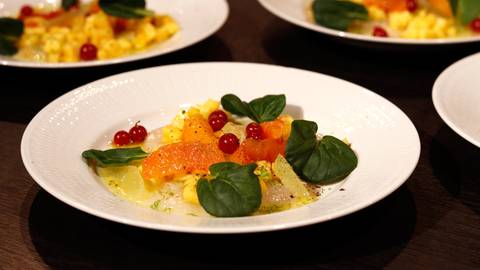 Alla recept från Go'kväll | SVT recept