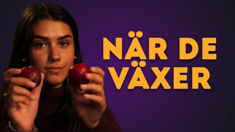 Puberteten: Mens, svett, målbrott, bröst, snoppen och snippan - Bröst ...