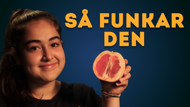 Puberteten: Mens, svett, målbrott, bröst, snoppen och snippan - Snippan ...