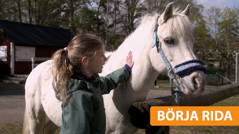 Tjejer - 15. Inez - Börja rida | SVT Barn
