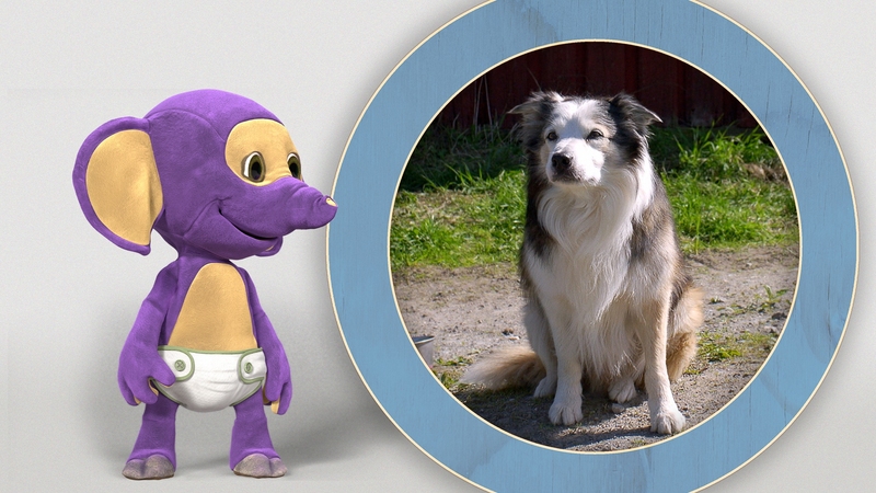 Fantus - Hund | SVT Barn