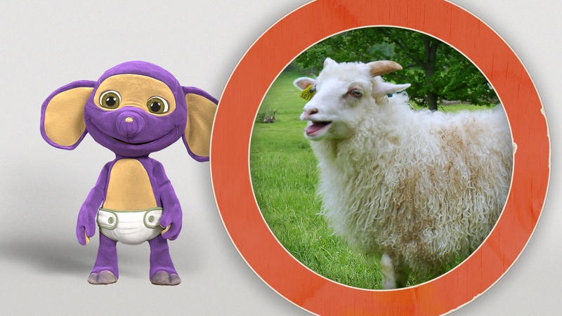 Fantus - Lamm | SVT Barn