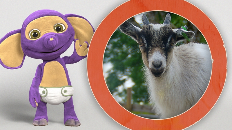 Fantus - Get | SVT Barn