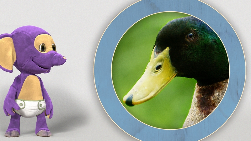 Fantus - And | SVT Barn